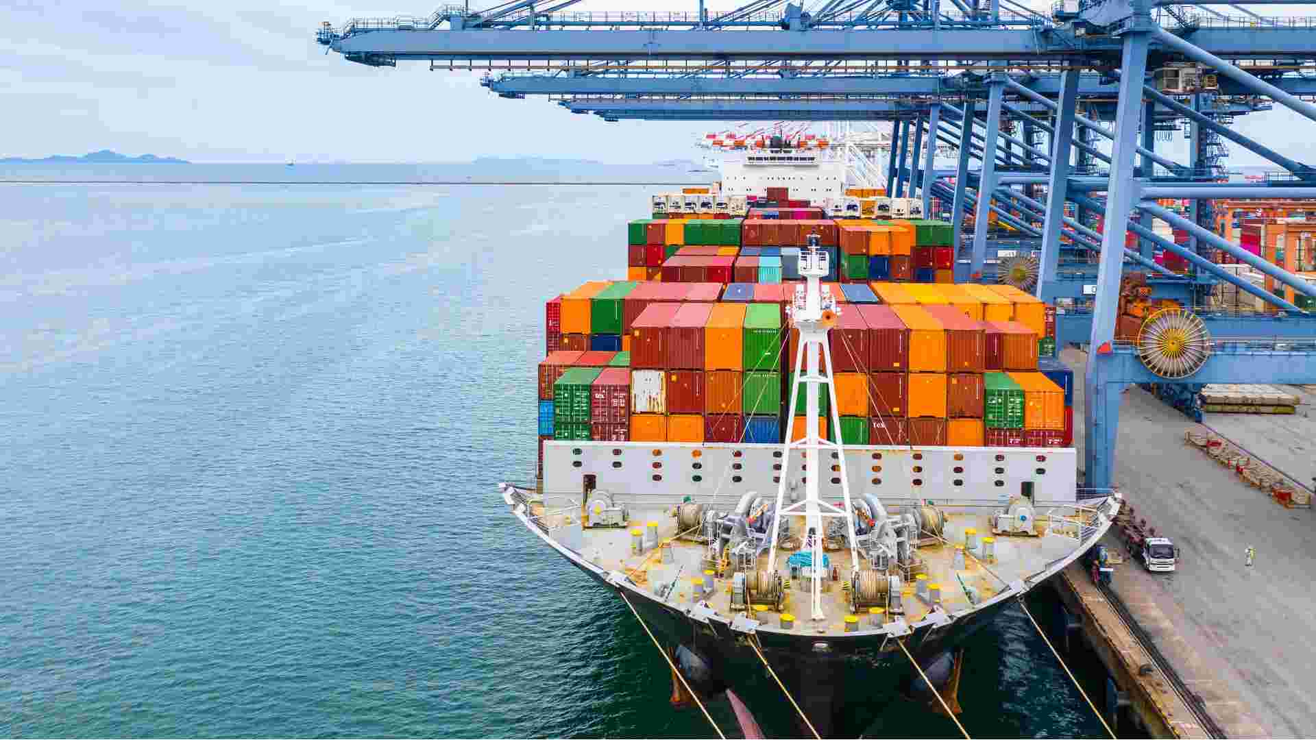 Ocean Timber Trade Visibility | Marine Traffic Data