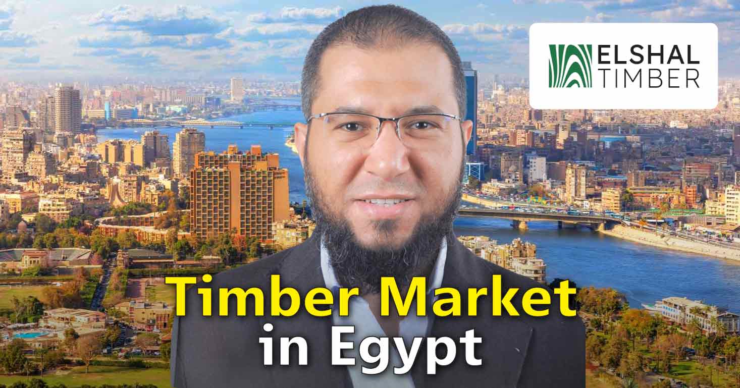 Timber Market in Egypt | Ibrahim Elshal | Elshal Timber